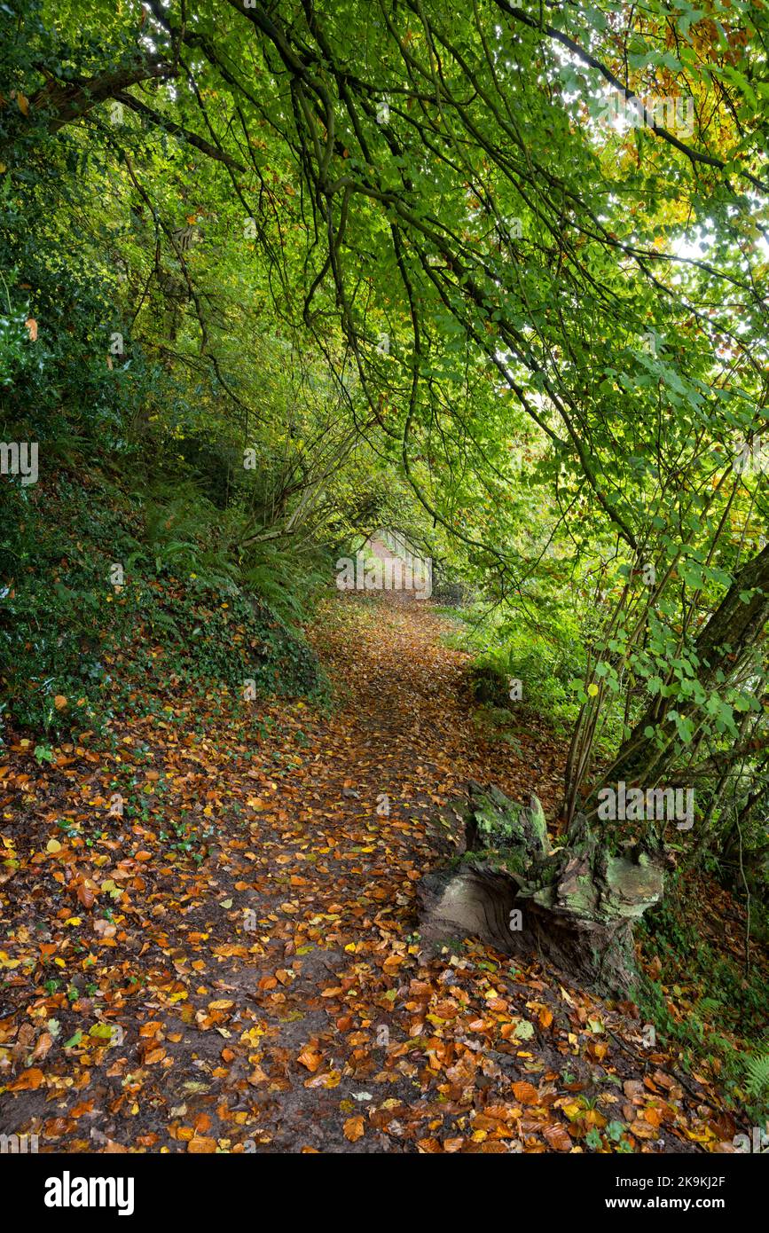 Forming a footpath hi-res stock photography and images - Alamy