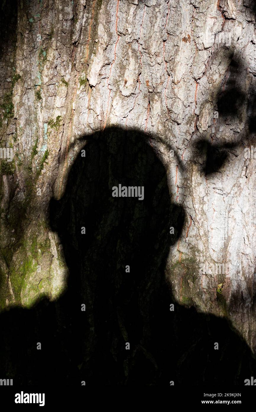 Shadow on the tree, silhouette of a man in headphones Stock Photo - Alamy
