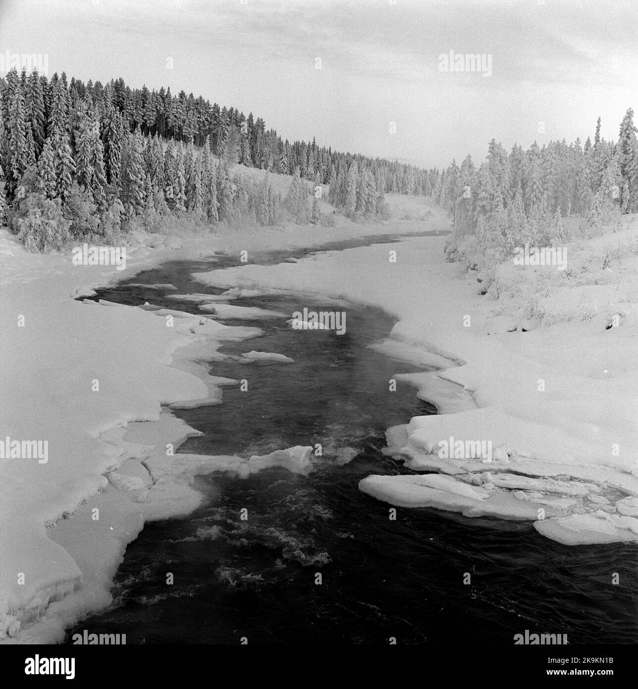 Ljungan hi-res stock photography and images - Alamy