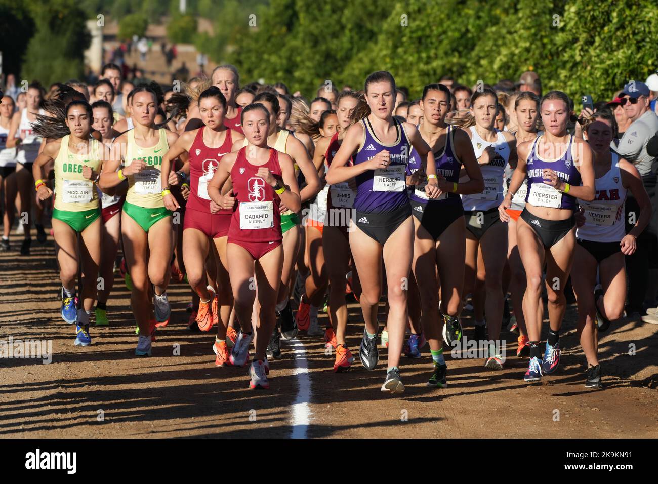Haley herberg hi-res stock photography and images - Alamy