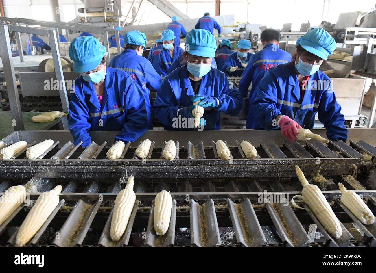 Corn processing hi-res stock photography and images - Alamy