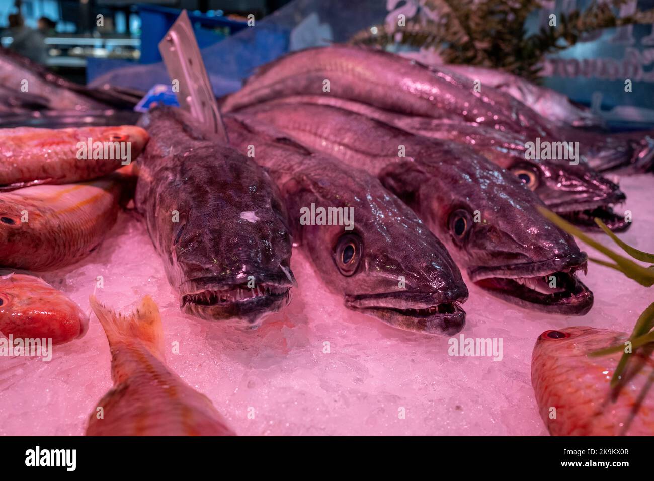 Jonzac, October 21st 2022: Market day in Jonzac Stock Photo - Alamy