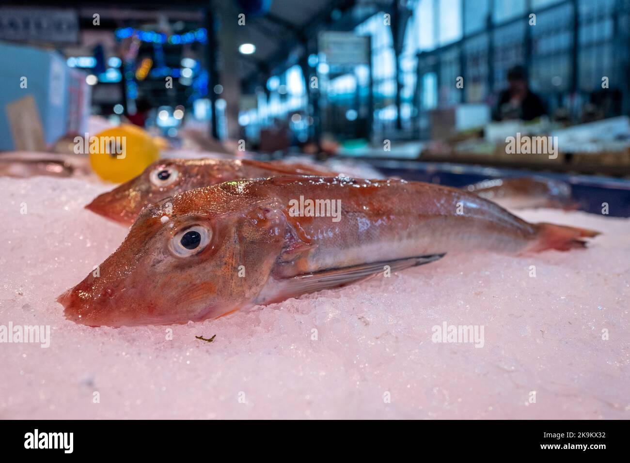 Jonzac, October 21st 2022: Market day in Jonzac Stock Photo - Alamy