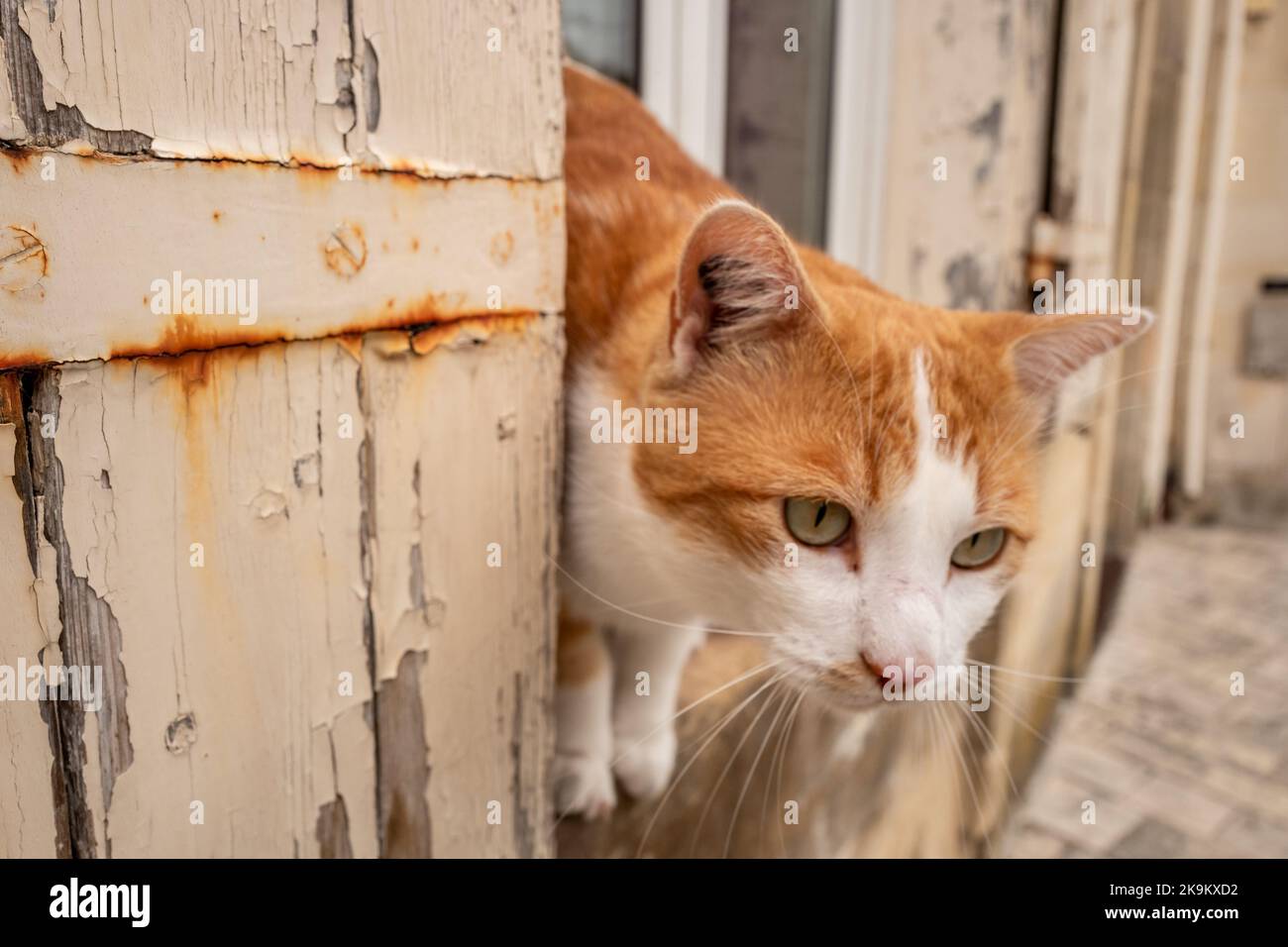 Jonzac, October 21st 2022: Market day in Jonzac Stock Photo - Alamy