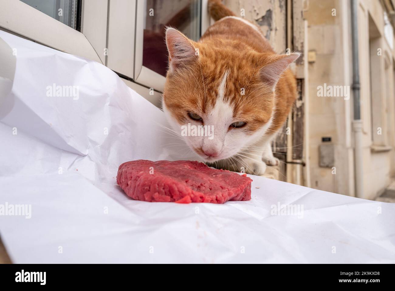 Jonzac, October 21st 2022: Market day in Jonzac Stock Photo - Alamy