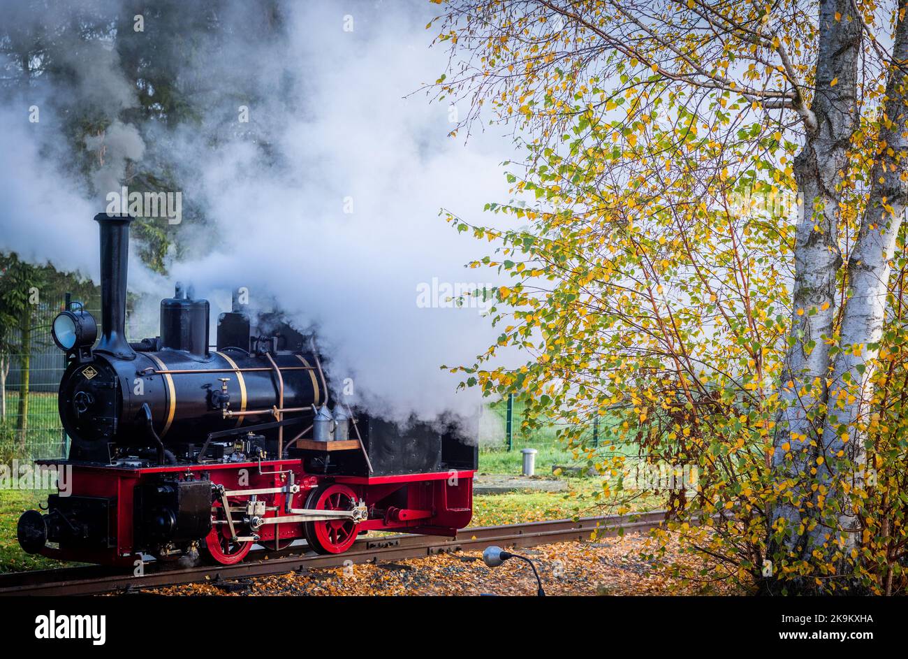 29 October 2022, Mecklenburg-Western Pomerania, Klütz: Stoker Nils ...