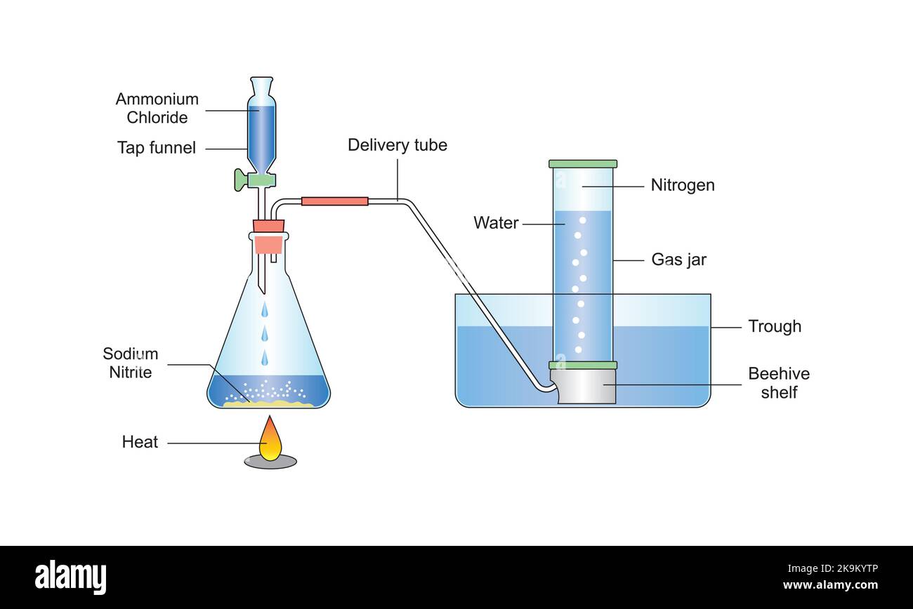 Scientific Designing of Preparation of Nitrogen Gas. Colorful Symbols ...