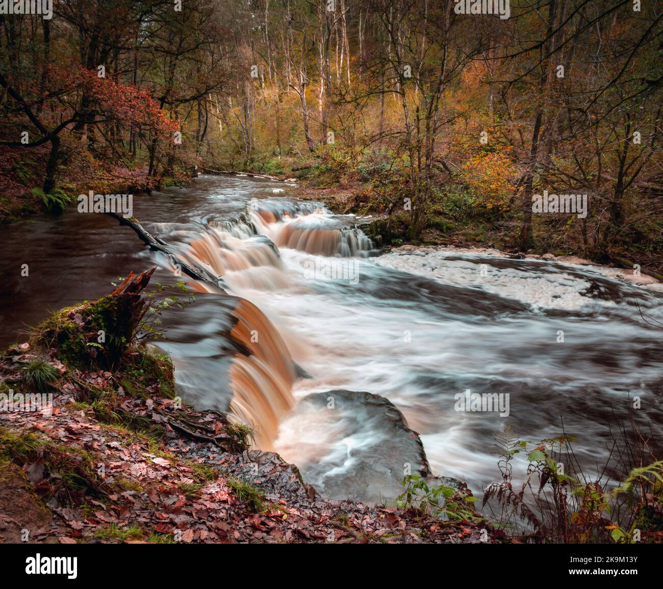 Autumn on the Avon Pryddin in the Neath Valley, South Wales UK after ...