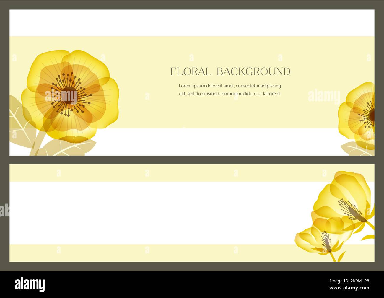 Set Of Vector Floral Backgrounds In Muted Colors With Text Space ...