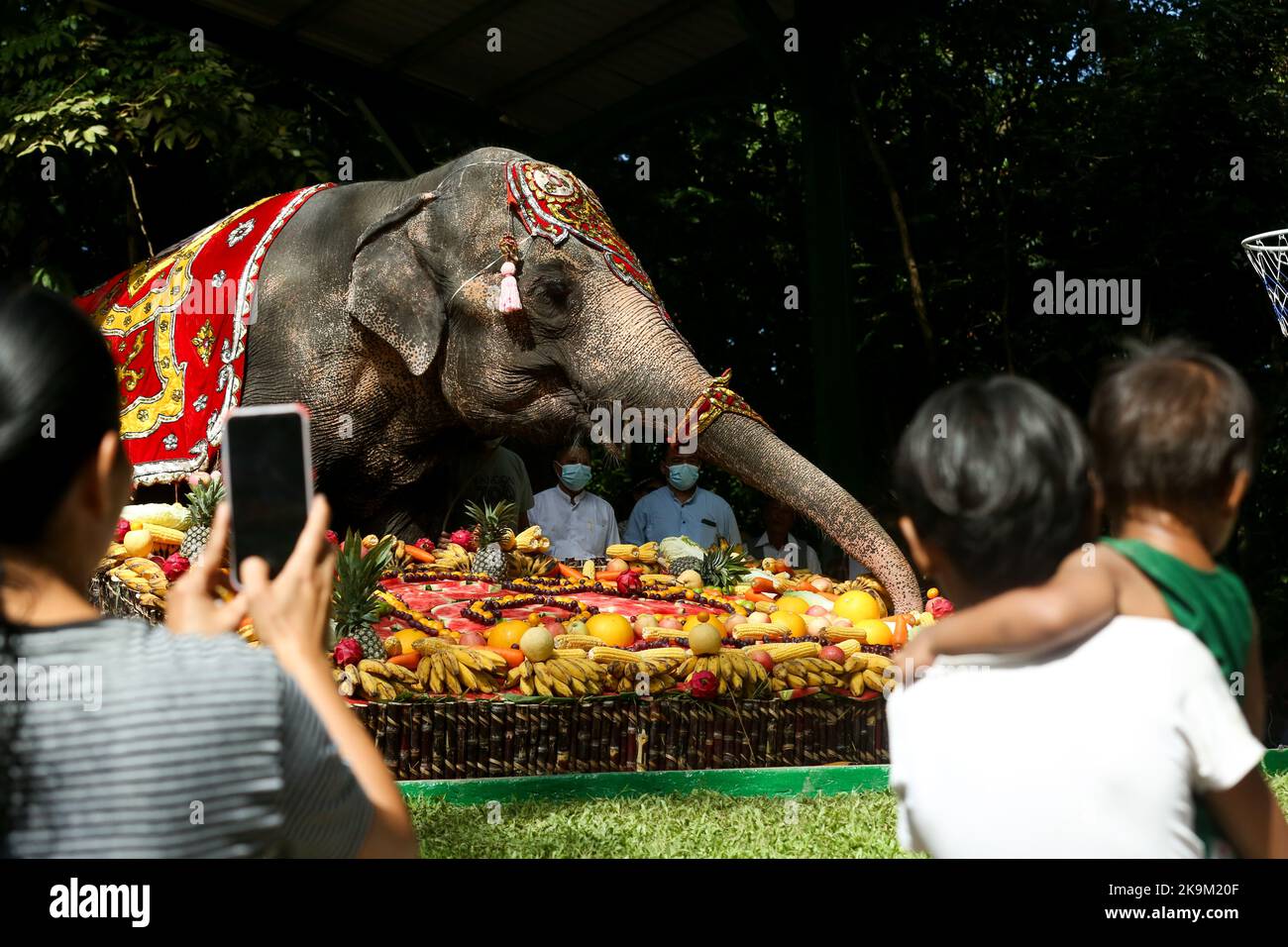 Yangon, Myanmar. 29th Oct, 2022. Female Asian elephant Mo Mo enjoys ...