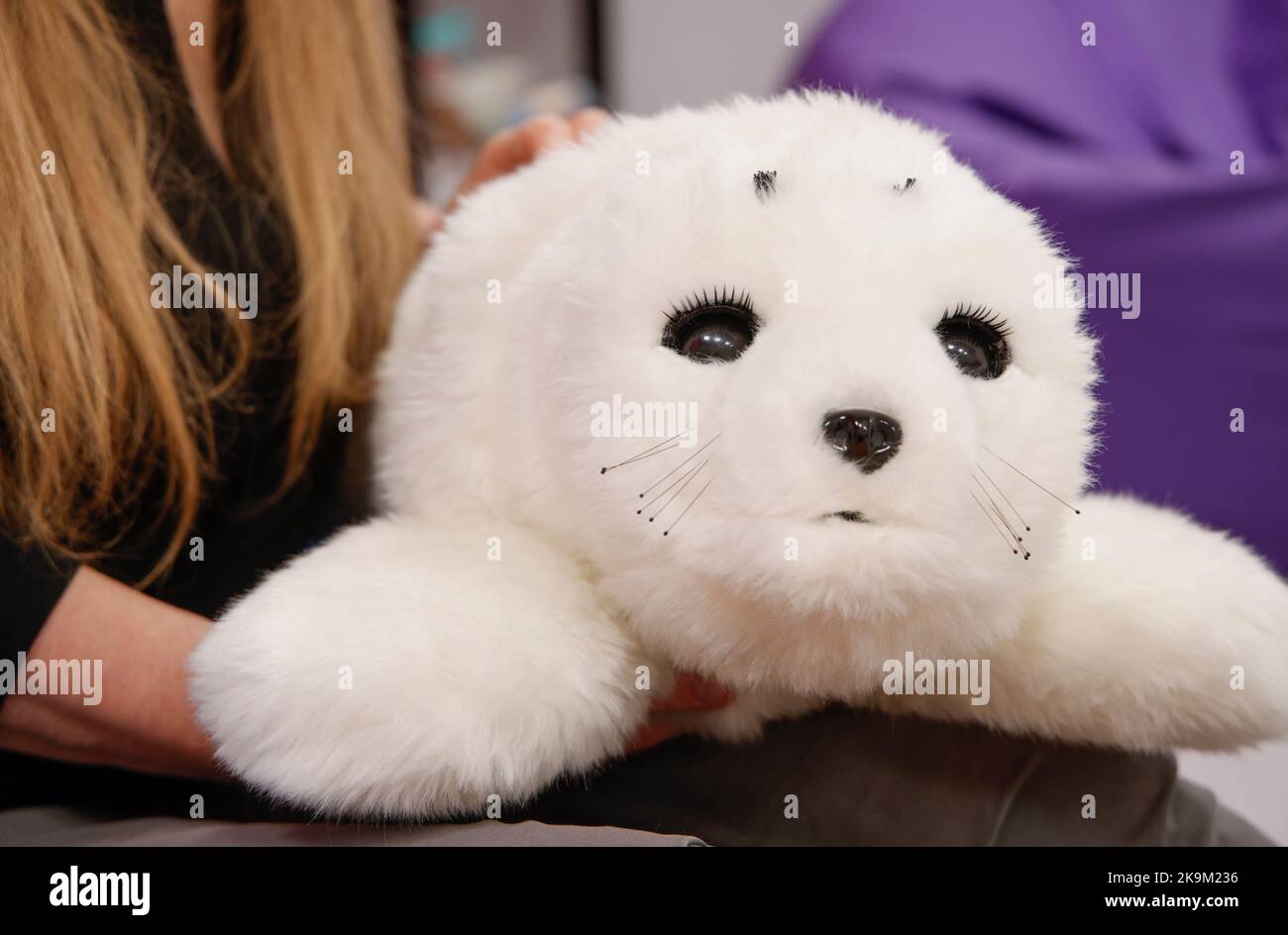 Paro the seal robot hi-res stock photography and images - Alamy