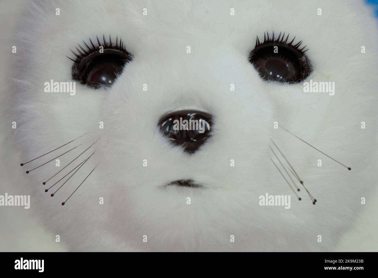 Paro, a Japanese developed robot seal used in psychological therpay is ...