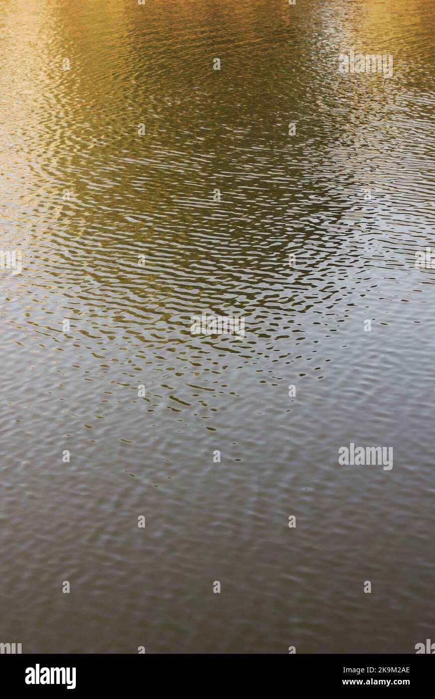 Shadows shimmering on the wavy surface of the local Stock Photo - Alamy