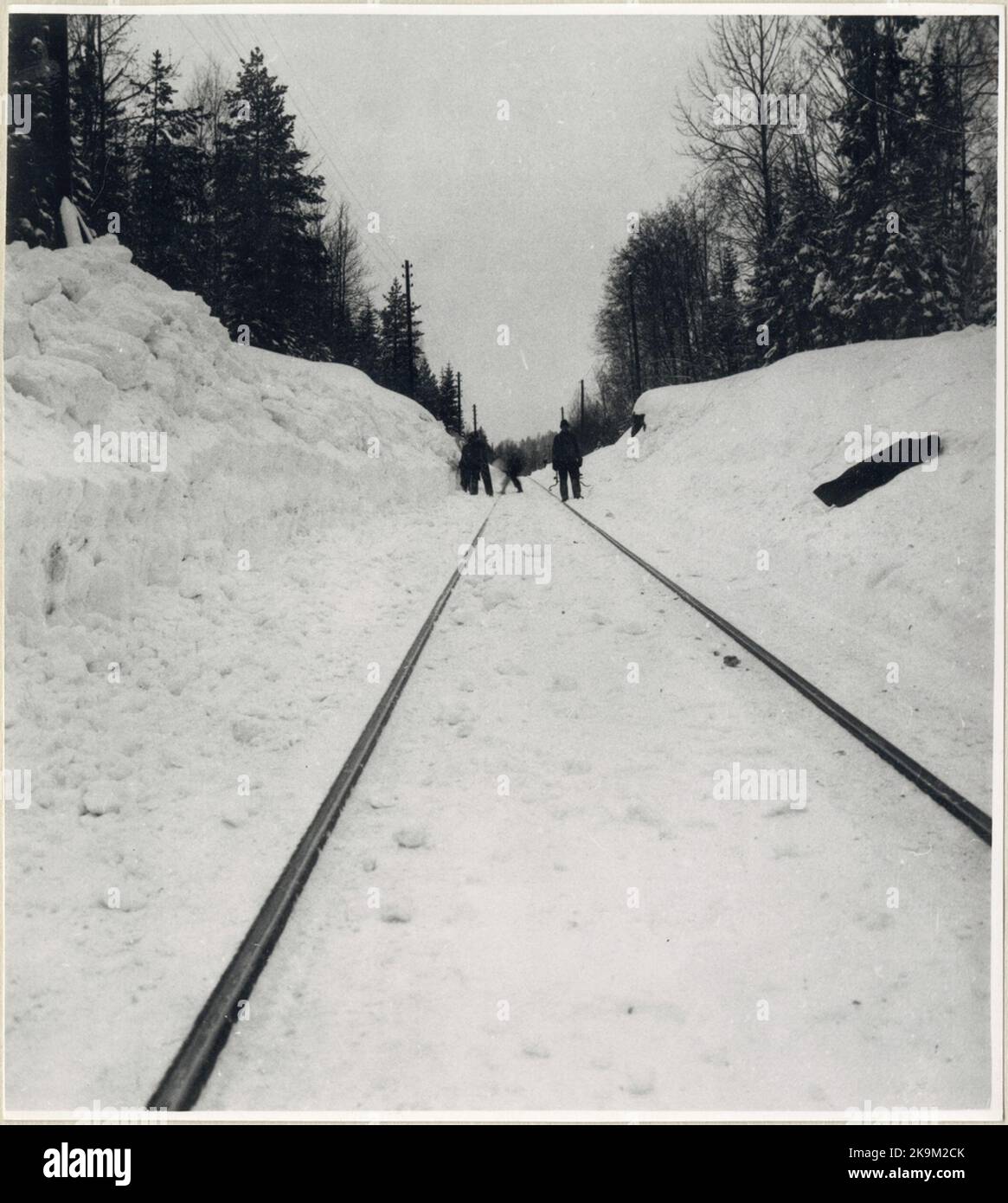 Railway line during winter time with staff and forest in picture Stock ...