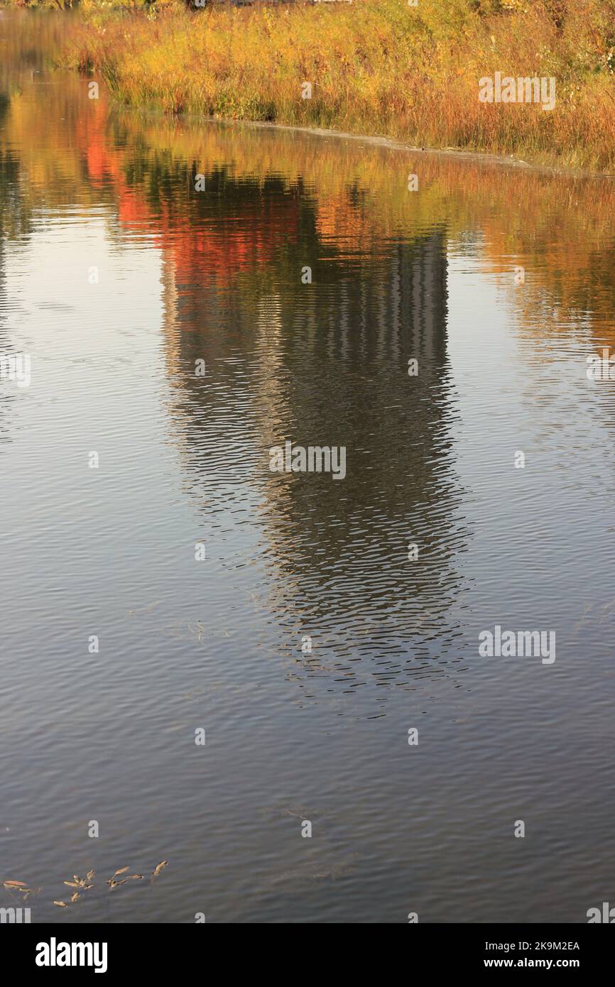 A tall building reflecting in the shallow water of the local pond Stock ...