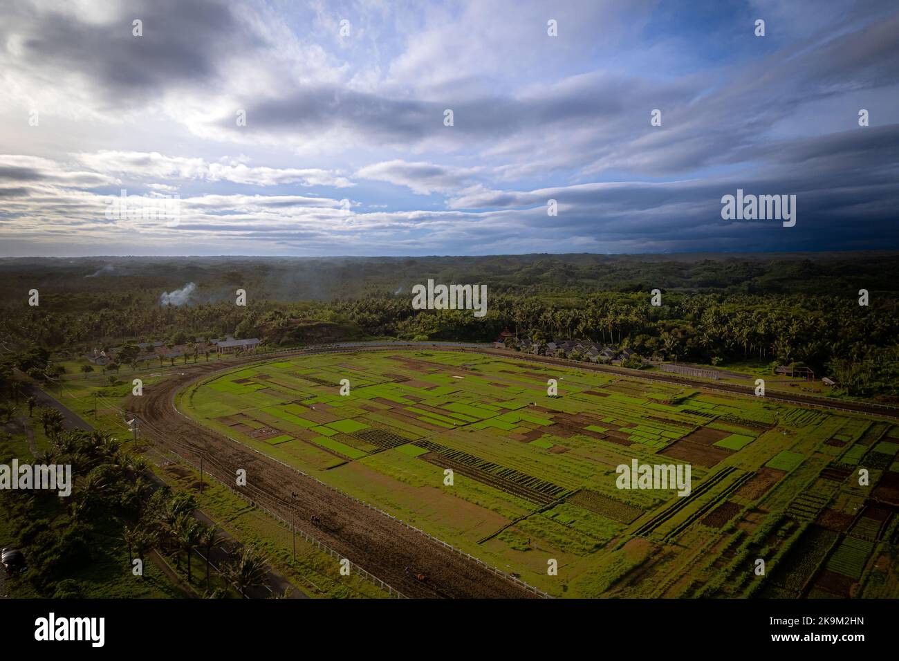 Nature collections hi-res stock photography and images - Alamy