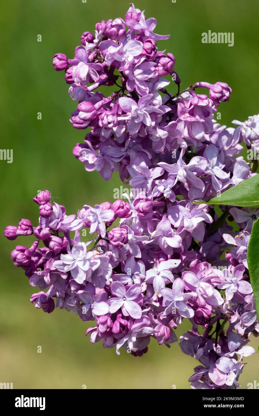 Jozef brzezinski hi-res stock photography and images - Alamy