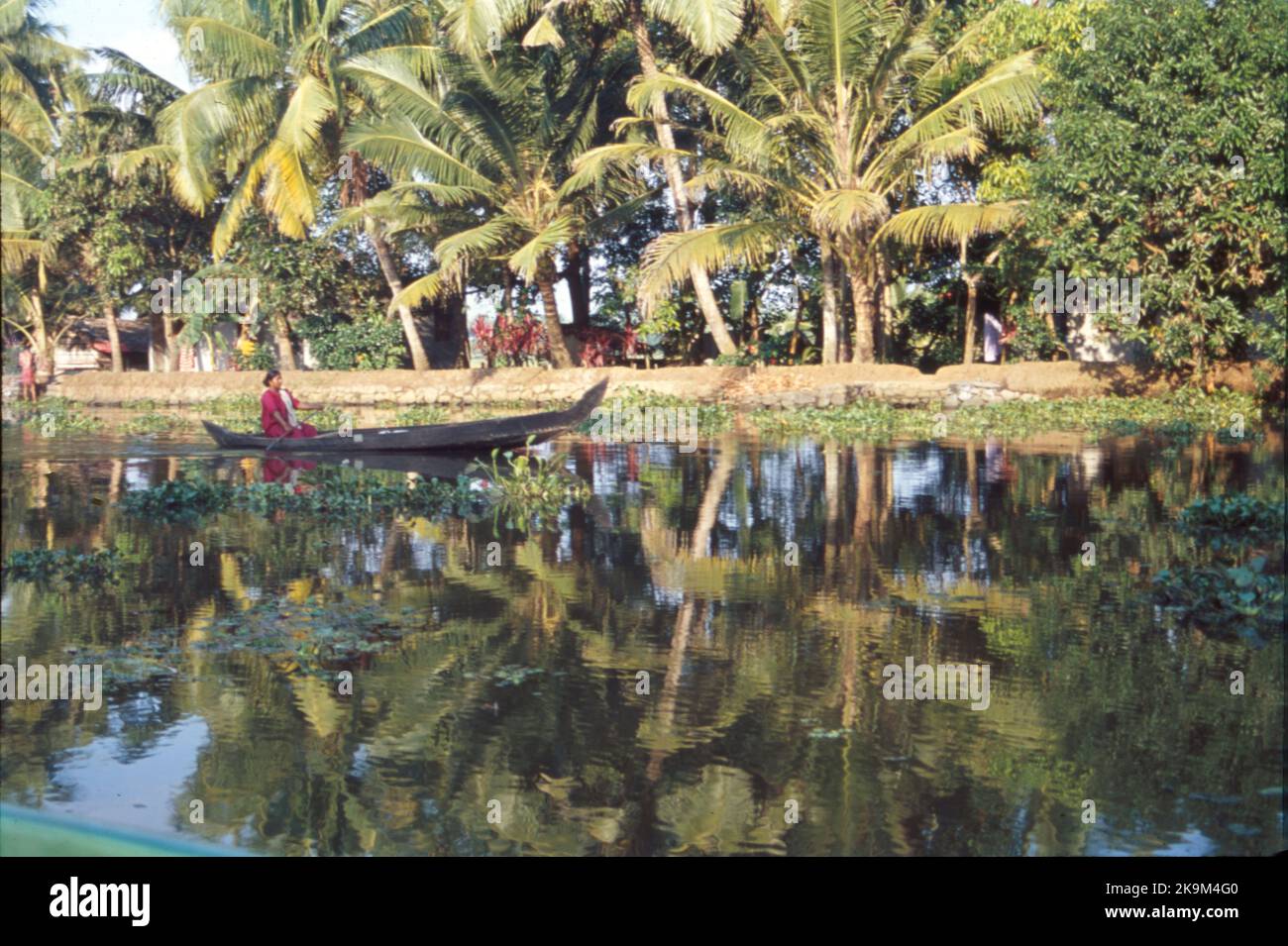 Women Riding a Snake Boat Amidst Greenery of Kumarakom Back Waters ...