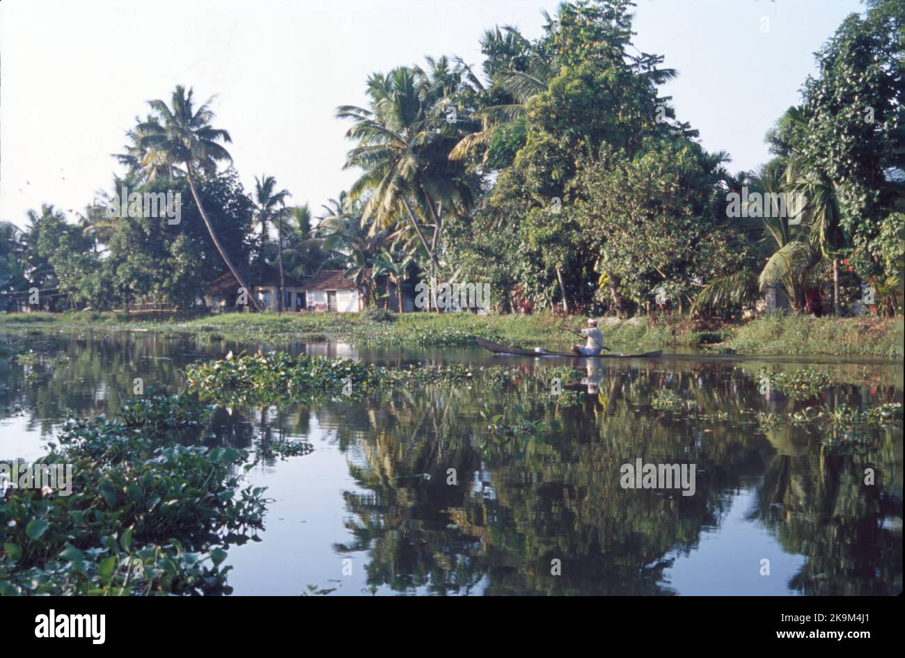 Back Waters, Kumarakom, Kerala, India Stock Photo - Alamy