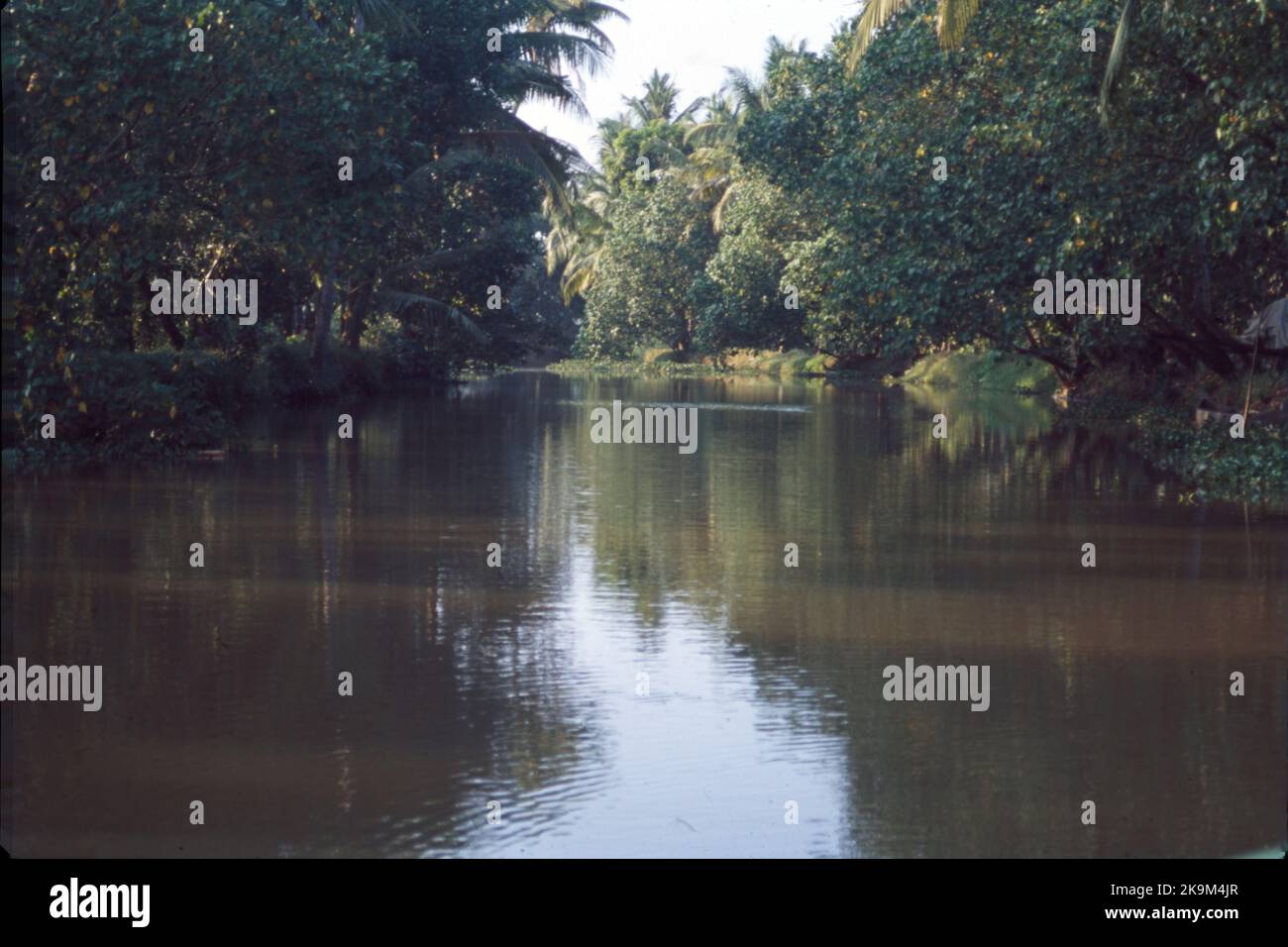 Back Waters, Kumarakom, Kerala, India Stock Photo - Alamy