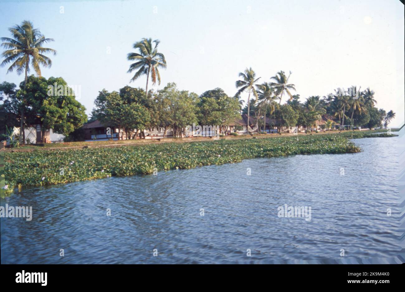 Back Waters, Kumarakom, Kerala, India Stock Photo - Alamy