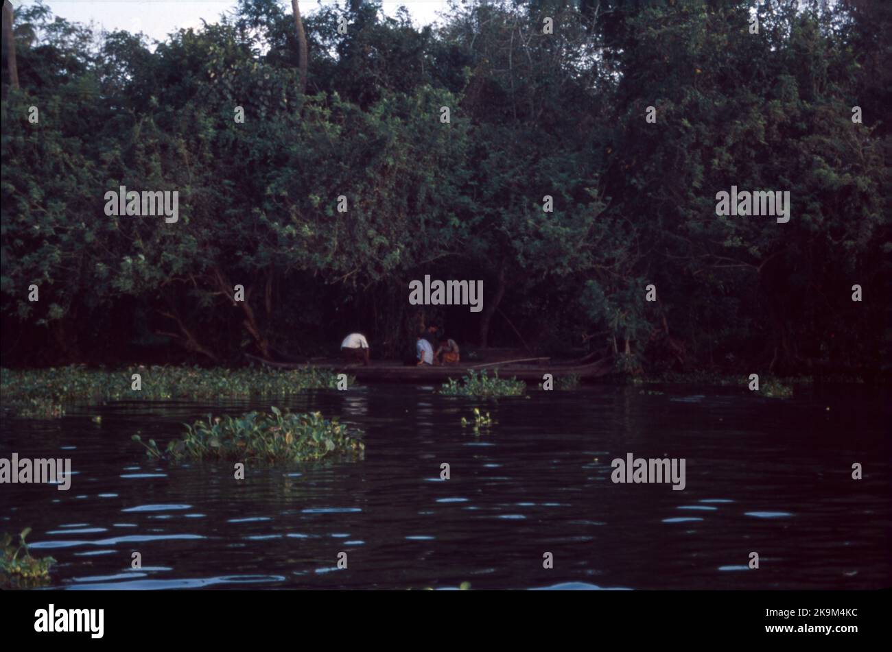 Back Waters, Kumarakom, Kerala, India Stock Photo - Alamy