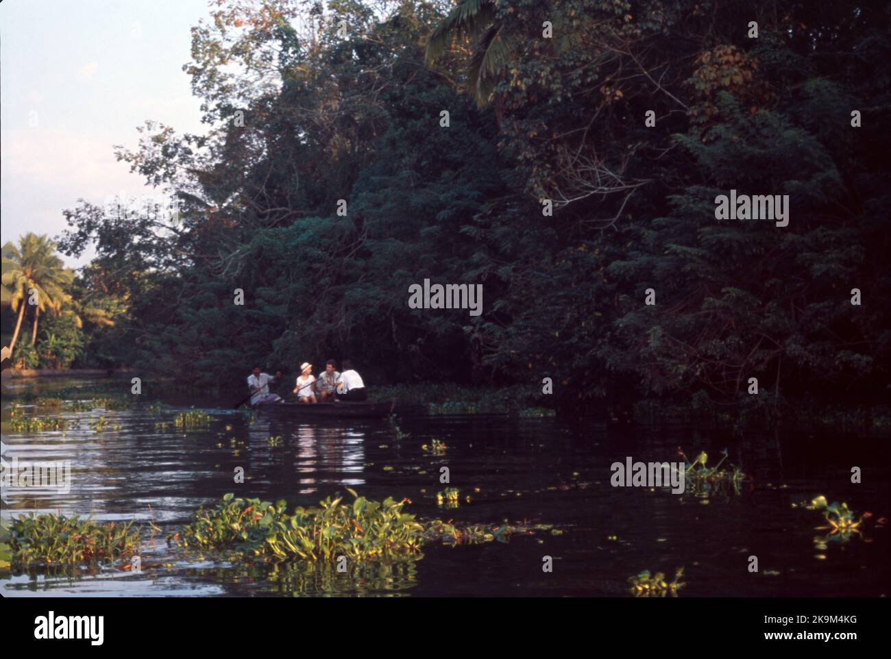 Back Waters, Kumarakom, Kerala, India Stock Photo - Alamy