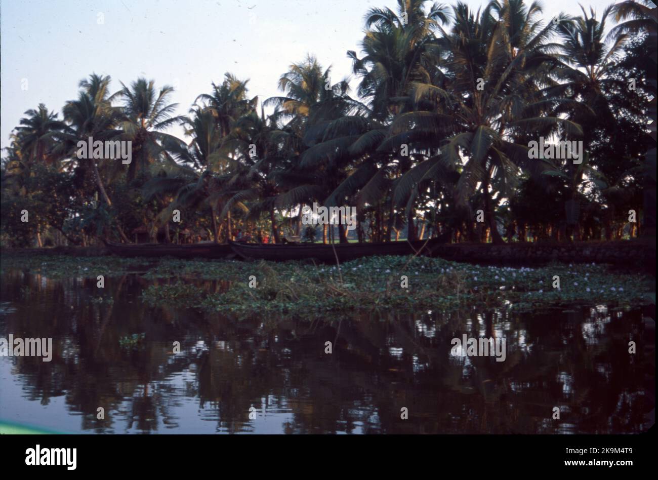 Back Waters, Kumarakom, Kerala, India Stock Photo - Alamy