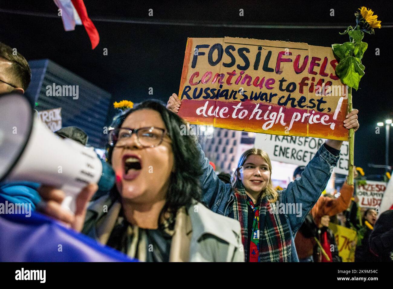 A protester holds a placard expressing her opinion during the Crisis ...