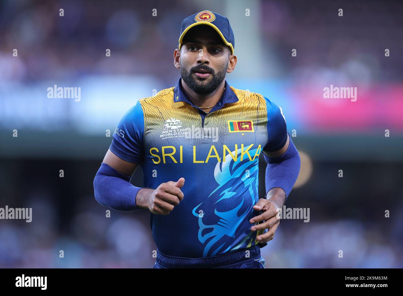 NSW, Australia. 29th Oct, 2022. 29th October 2022; SCG, NSW, Australia: T20 World Cup Cricket ...