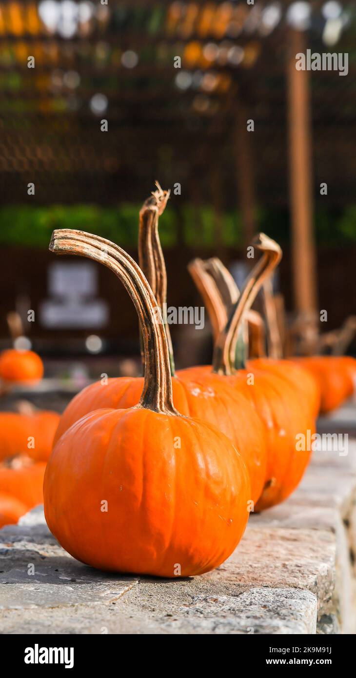 Orange vertical line pattern hi-res stock photography and images - Alamy