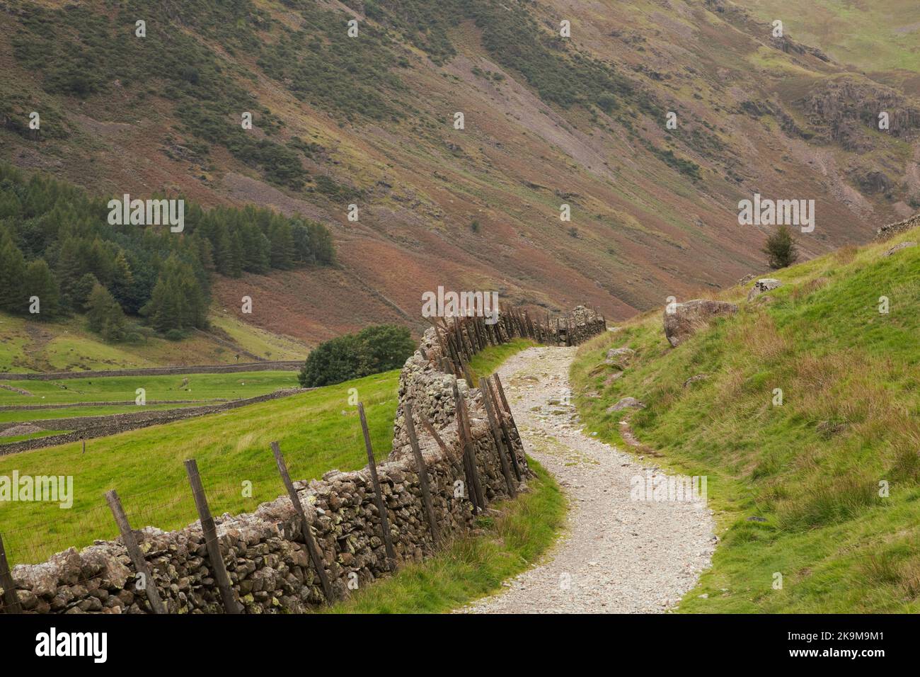 The Cumbria Way track along Mickleden in Langdale, Lake District, UK ...