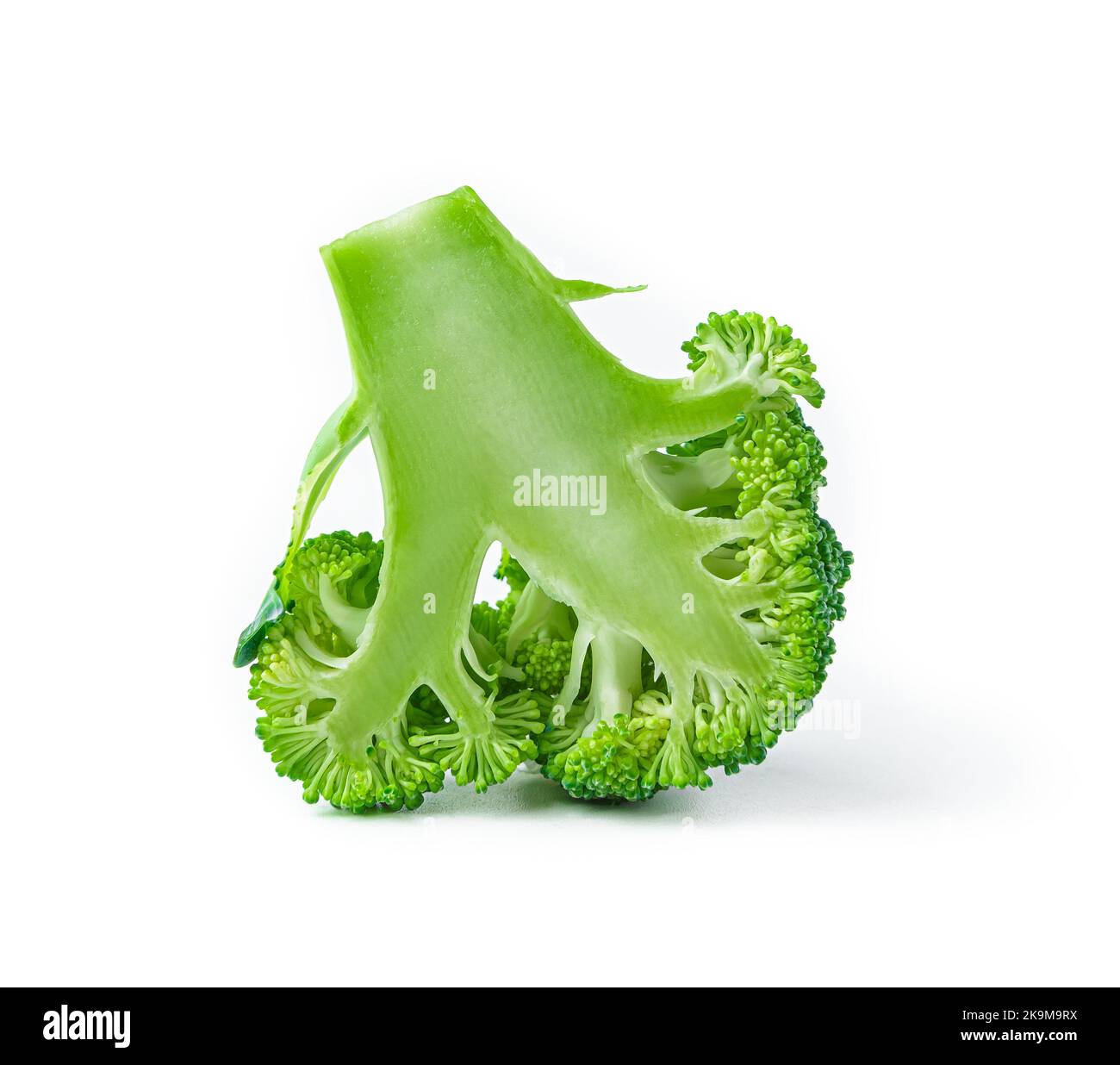 Broccoli in the section is isolated on a white background Stock Photo ...