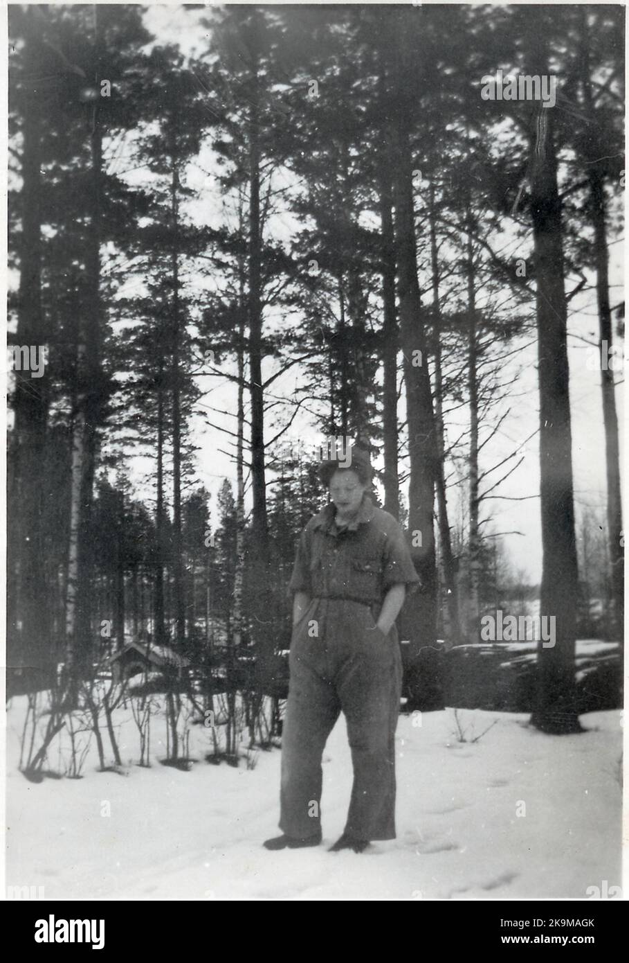 Siri in Långsjön Stock Photo - Alamy