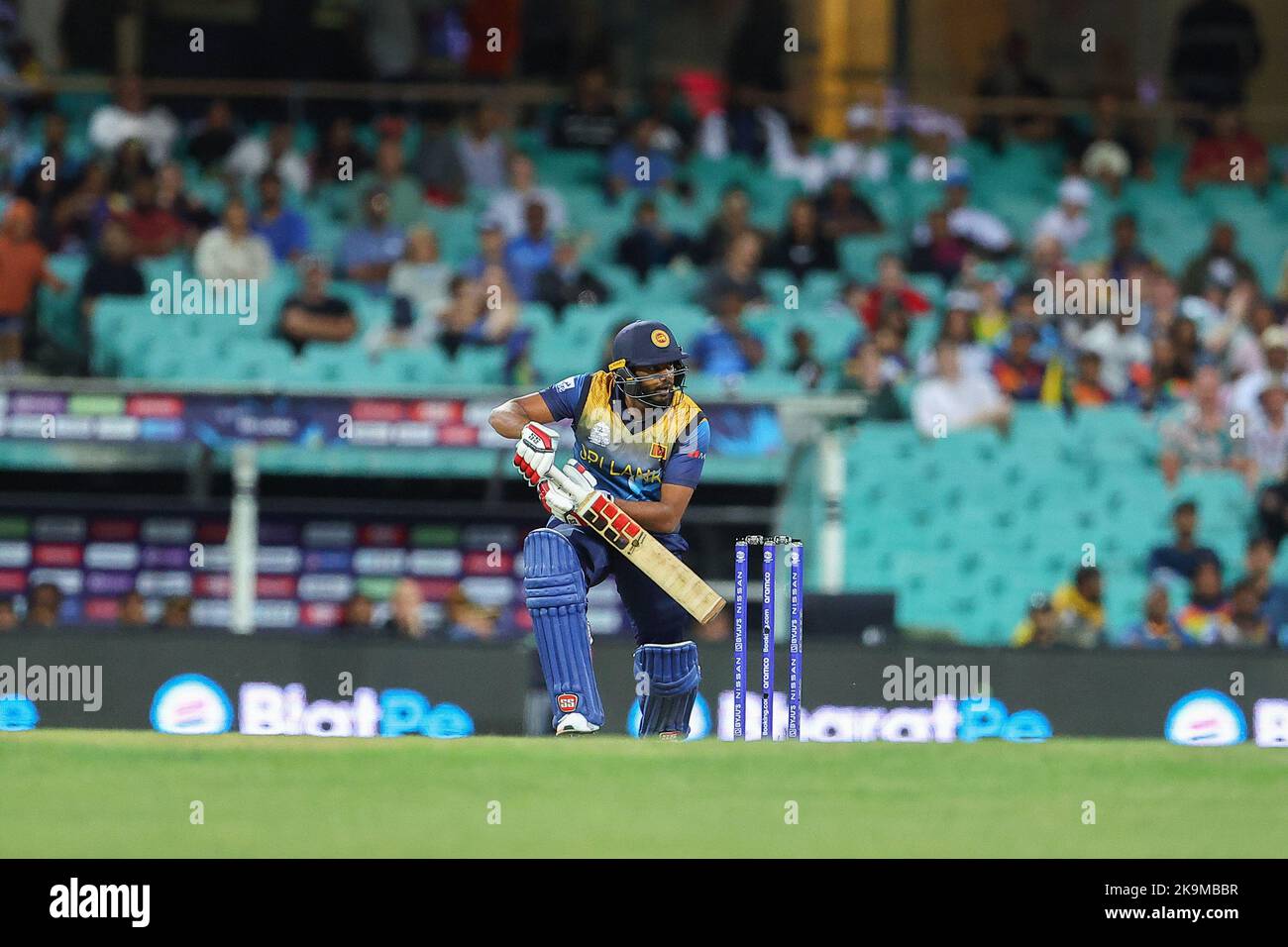 NSW, Australia. 29th Oct, 2022. 29th October 2022; SCG, NSW, Australia ...