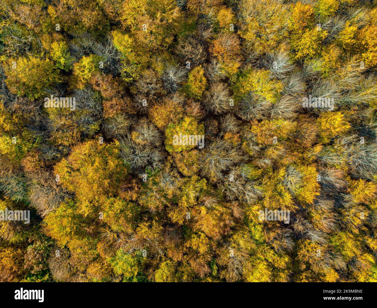 Rural japan top down aerial hi-res stock photography and images - Alamy