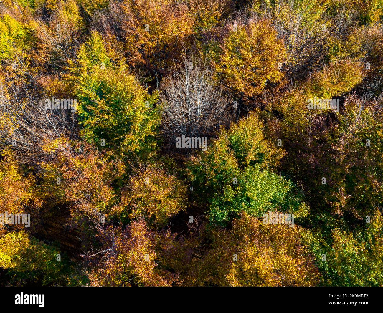 Rural japan top down aerial hi-res stock photography and images - Alamy