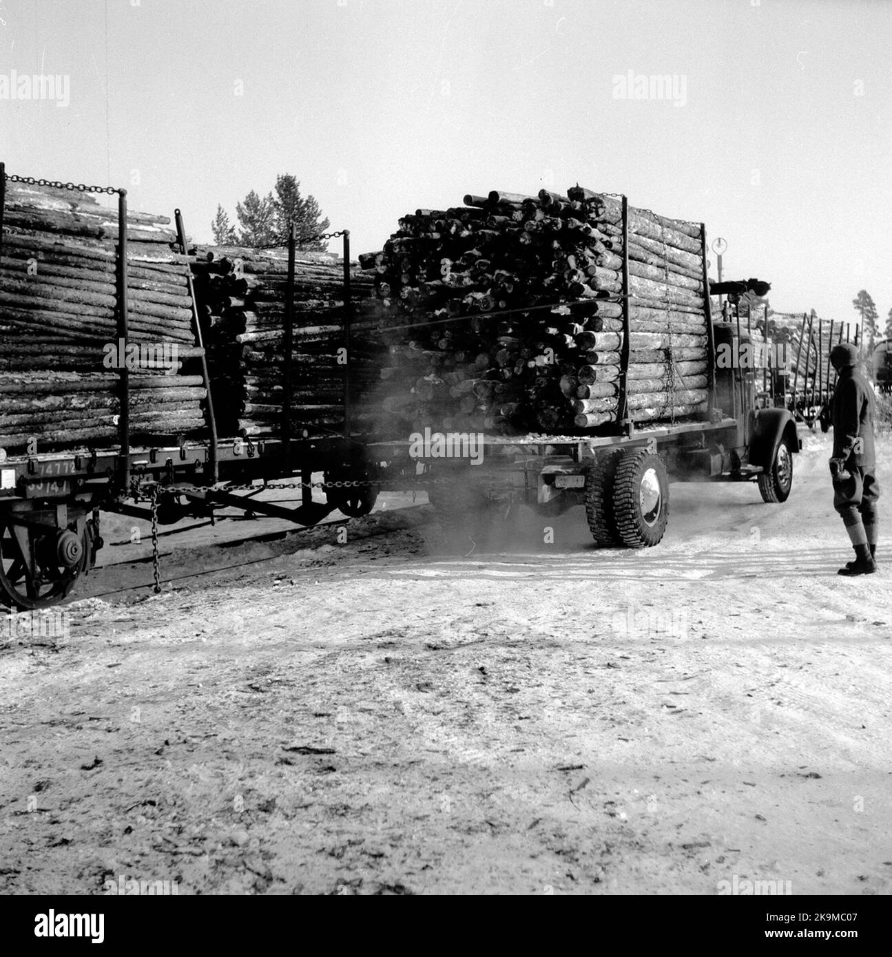Loading of timber from truck to freight wagon with puller timber ...