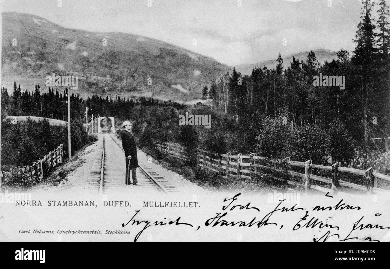 On the route between Duved and Storlien. Mullfjället in the background ...