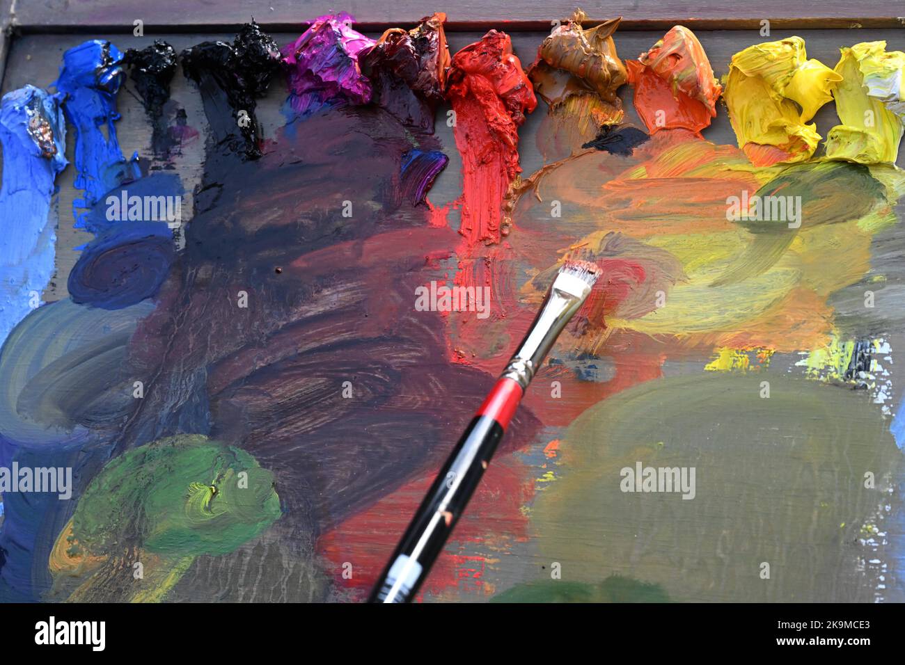 Munich, Germany. 29th Oct, 2022. The palette of painter Fernando ...