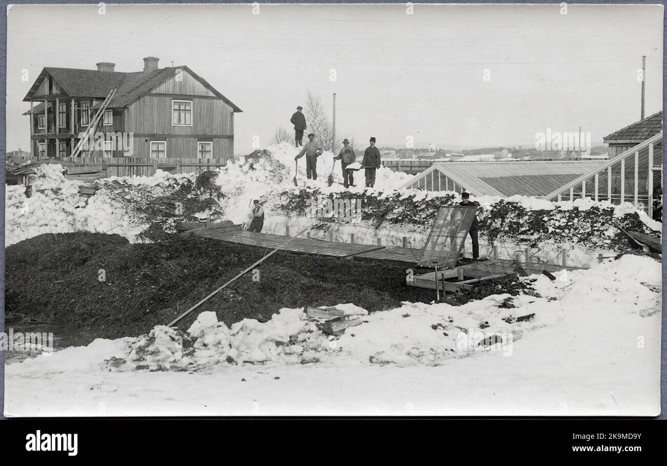 Plant depot in Boden Stock Photo - Alamy
