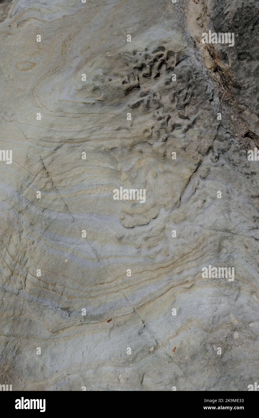 Forms and marks on the rock. Integral Natural Reserve of Inagua. Gran ...
