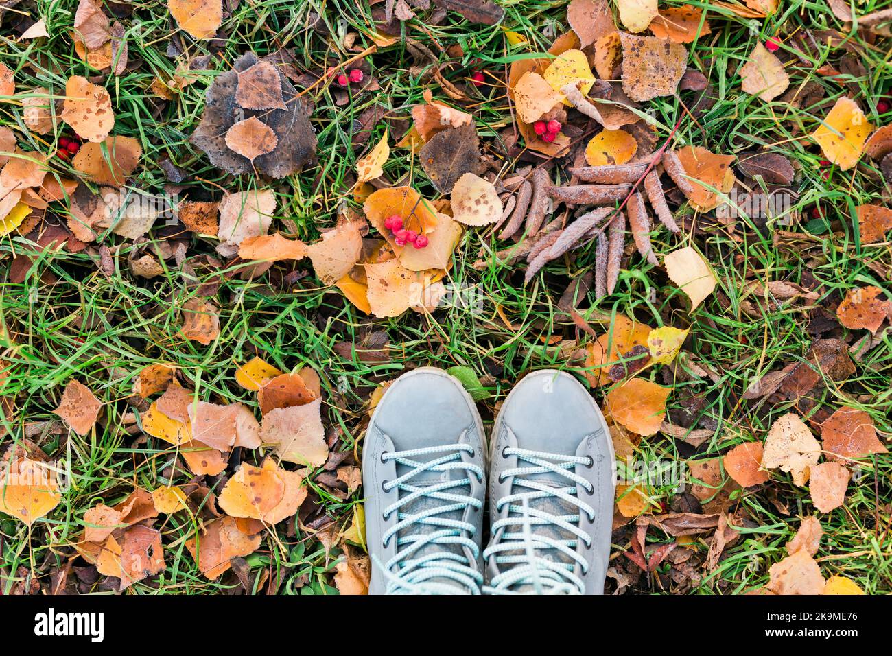 Top view shoes on autumn forest ground with frost and leaves falling on ...