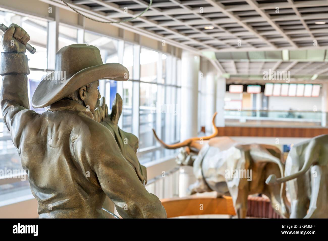 Dallas, Texas, US - 10.2022 - Statue of a cowboy running cattle in the ...