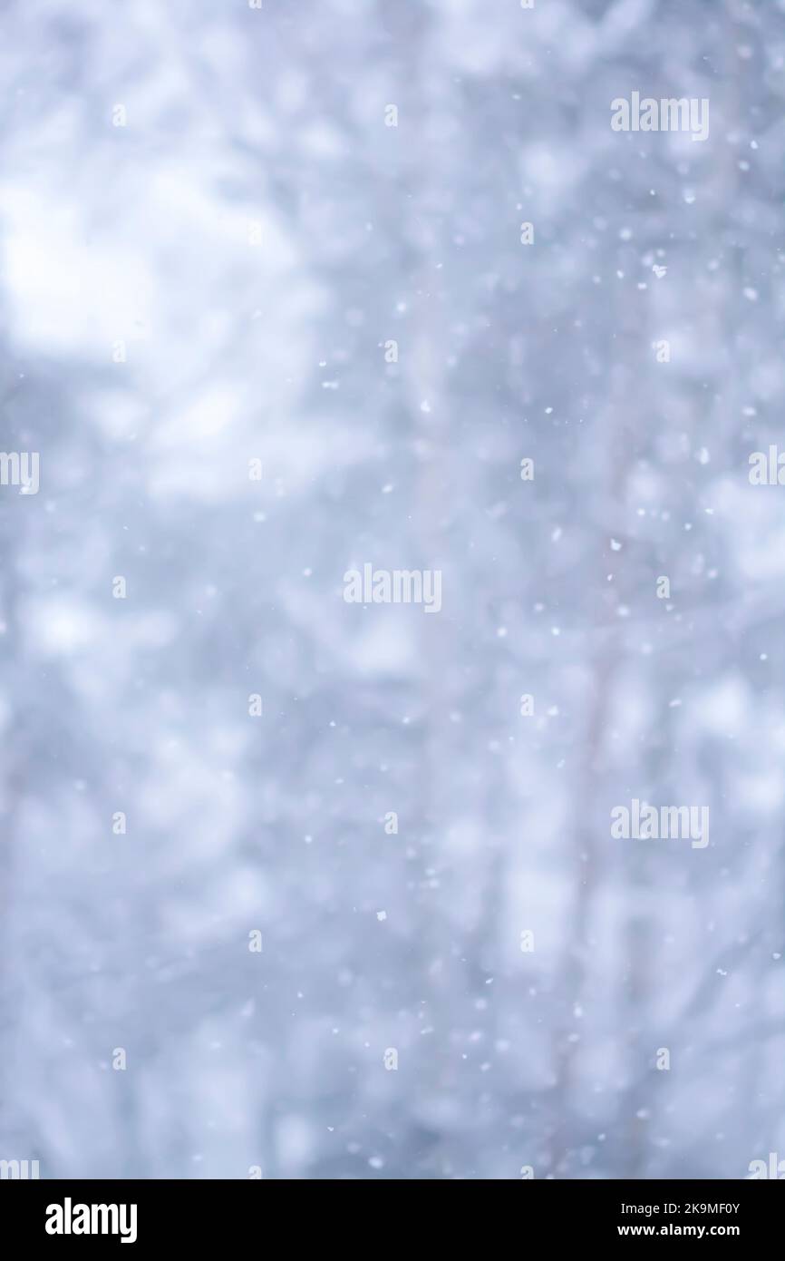 Blurred winter nature background. Snow overlay Stock Photo - Alamy