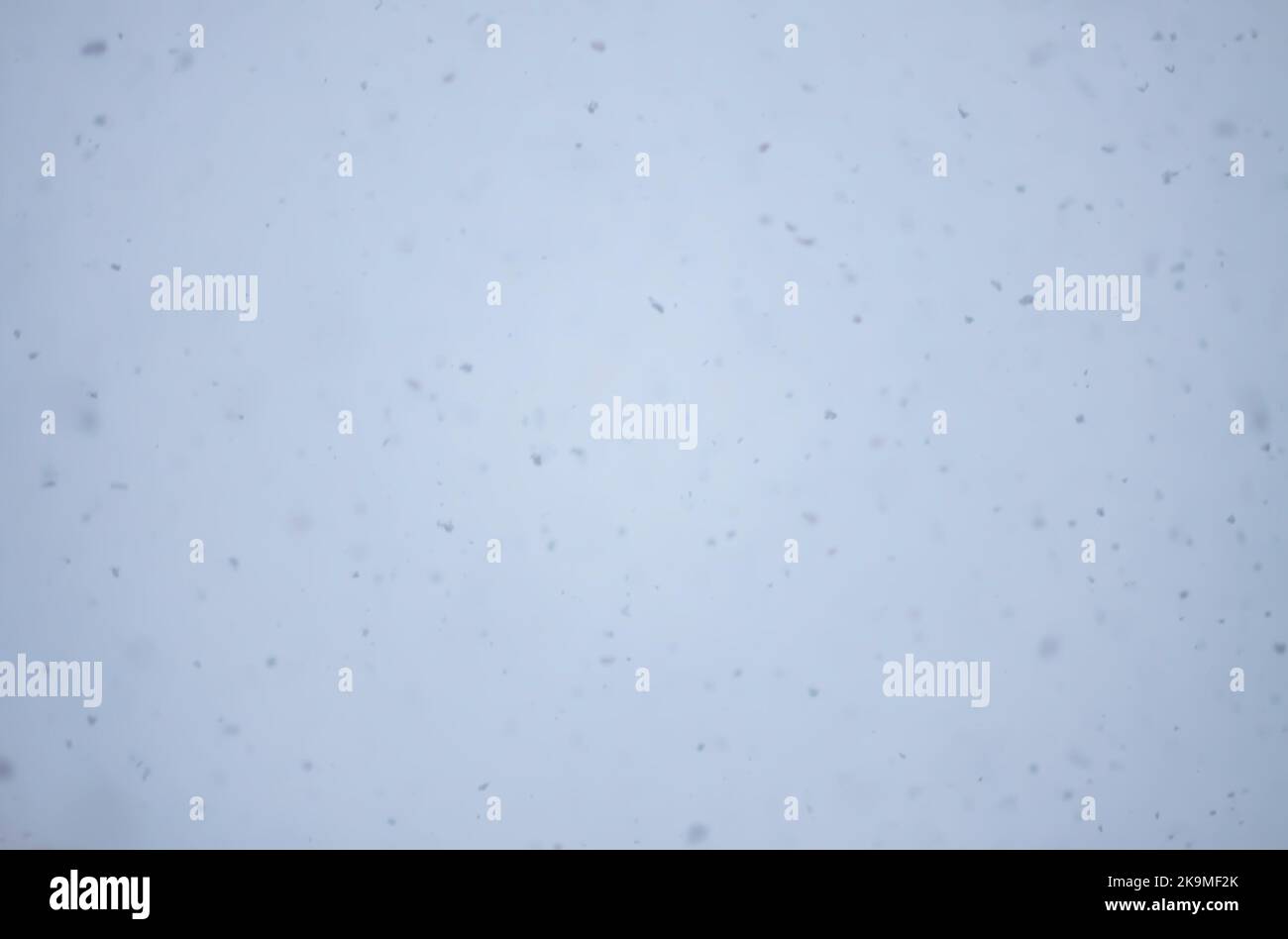 Blurred winter nature background. Snow overlay Stock Photo - Alamy