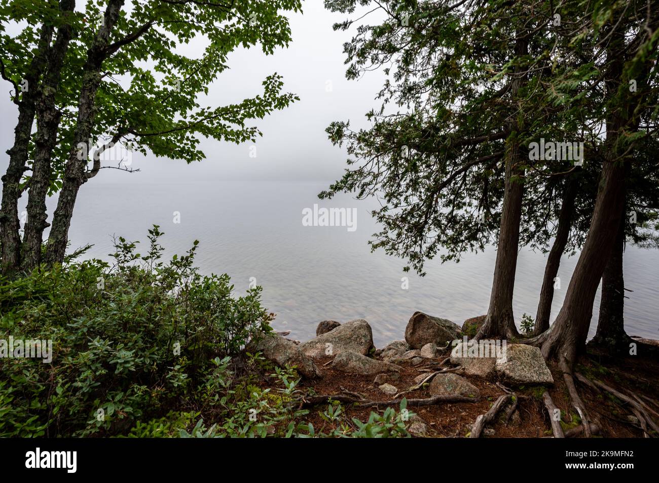 Waters edge of Jordan Pond in Acadia National Park, Maine, USA with fog ...