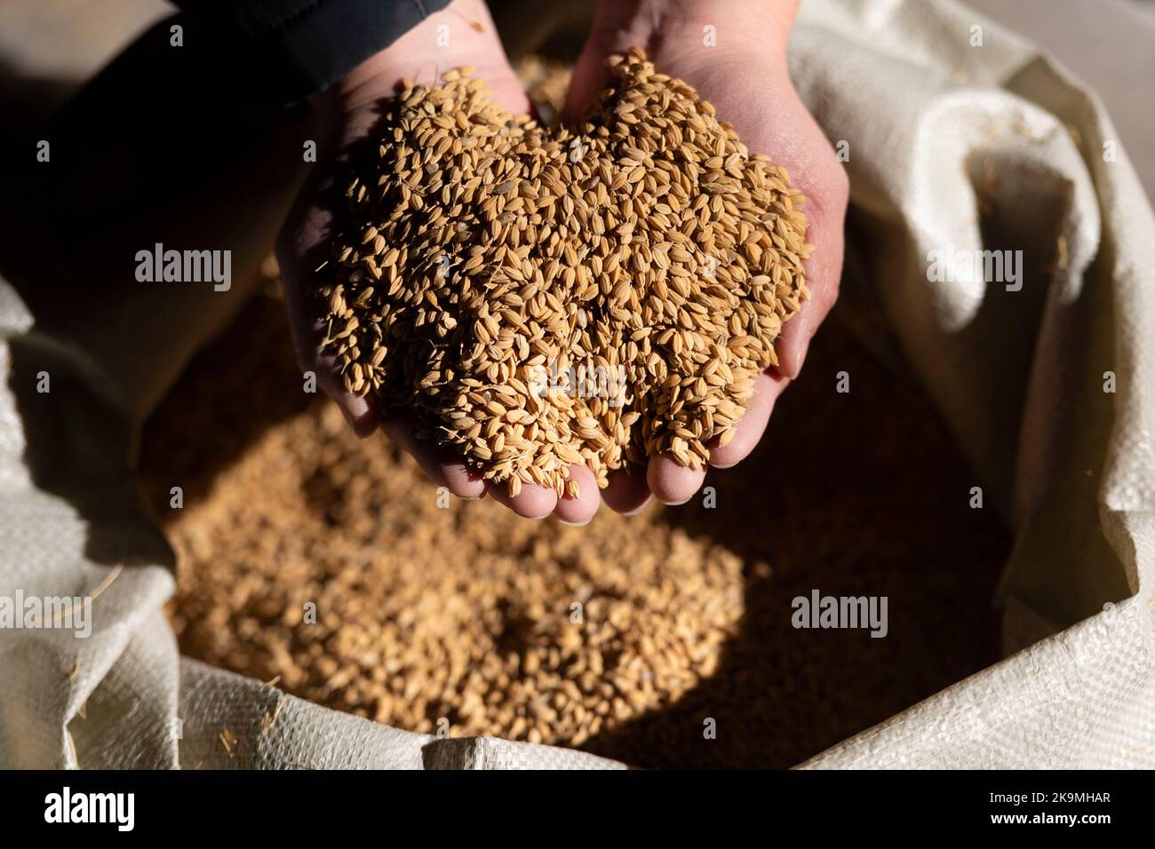 Sinograin hi-res stock photography and images - Alamy