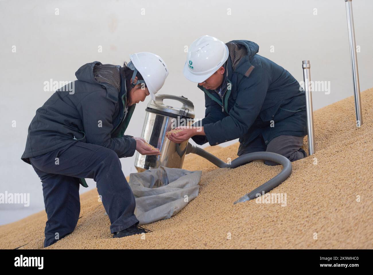 Sinograin hi-res stock photography and images - Alamy