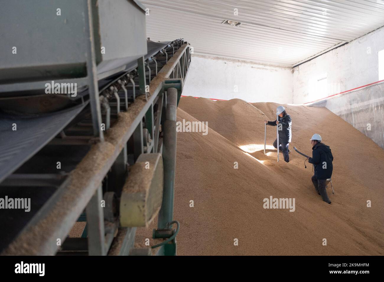 Sinograin hi-res stock photography and images - Alamy
